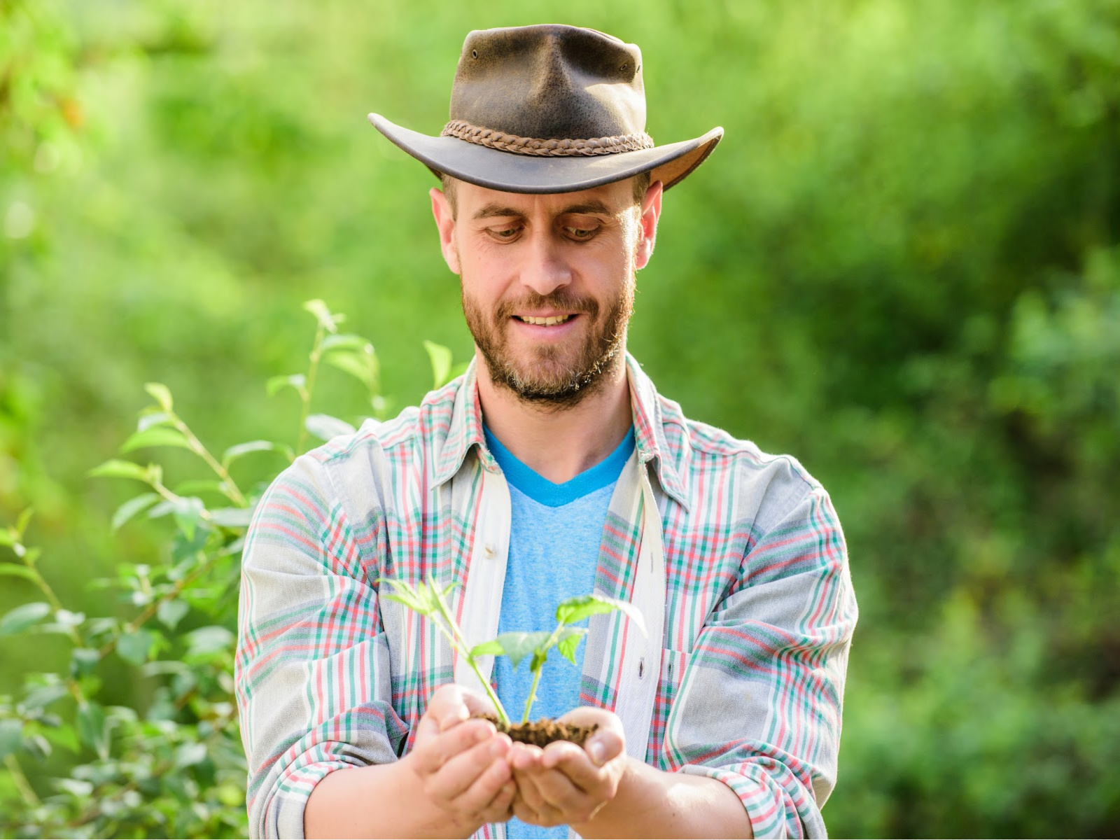 What Is Eco Farming? - Western Packaging